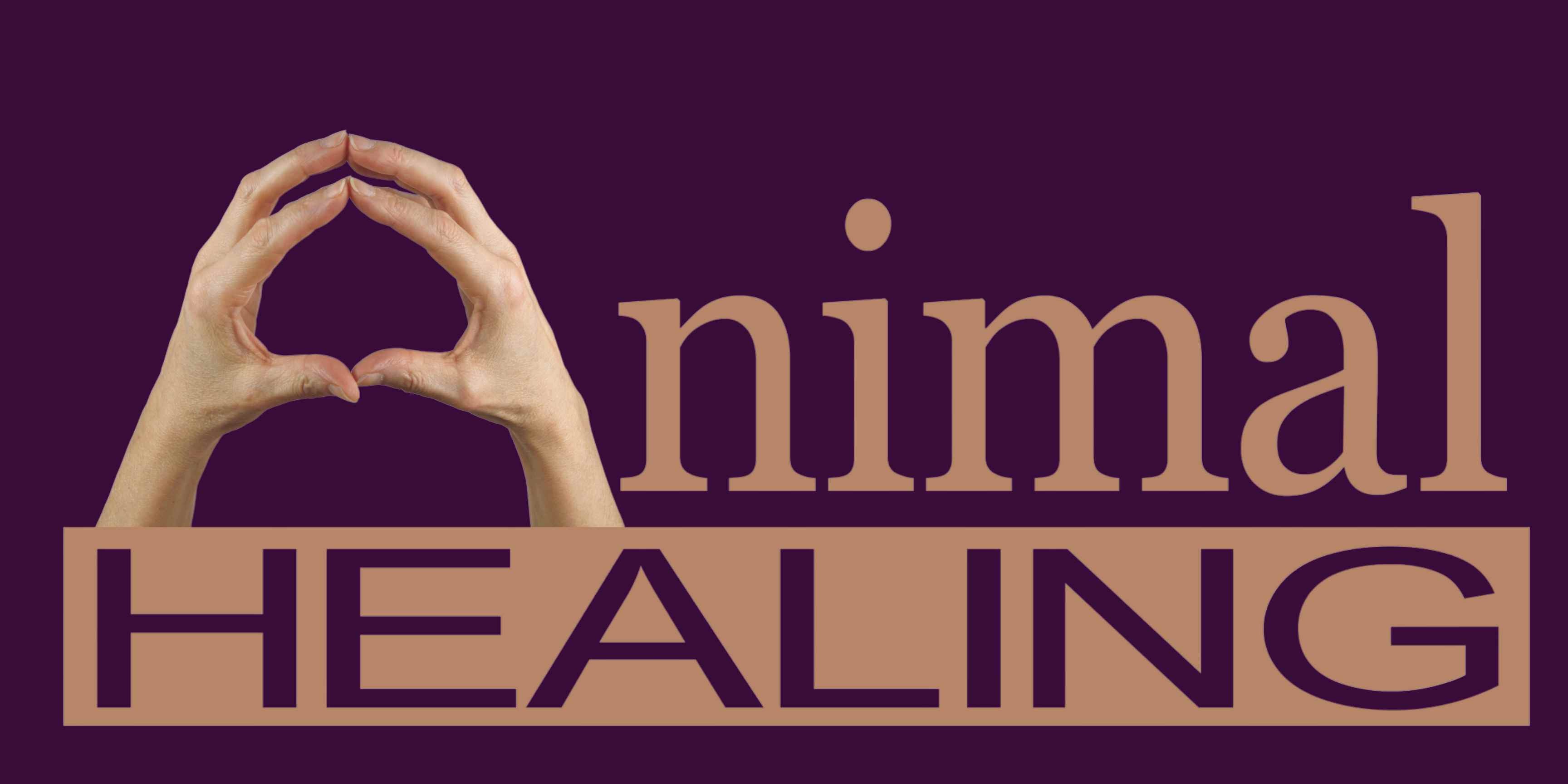 Animal Healing – Vandana Light Healing